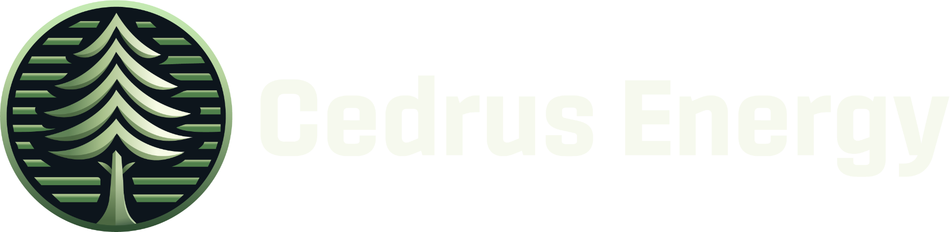 Cedrus Energy - Strategisch & Operationeel Energiebeheer